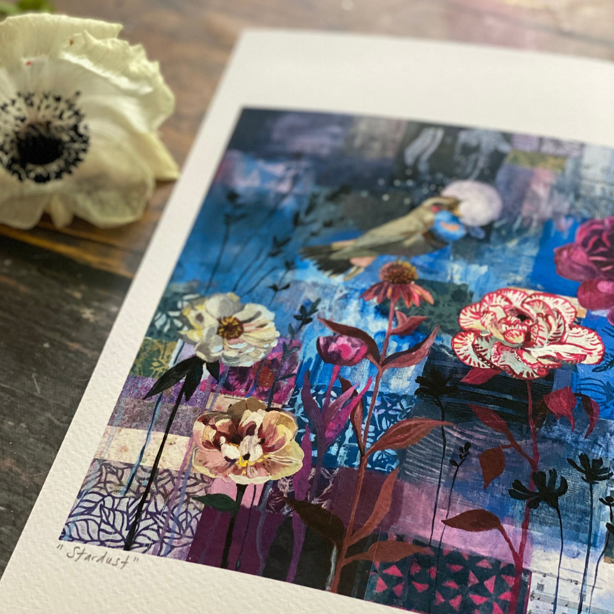 Stardust - special edition – Cathy Nichols