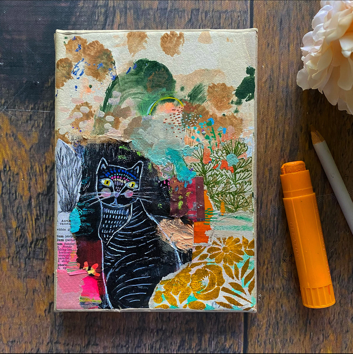 Studio Cat – Cathy Nichols